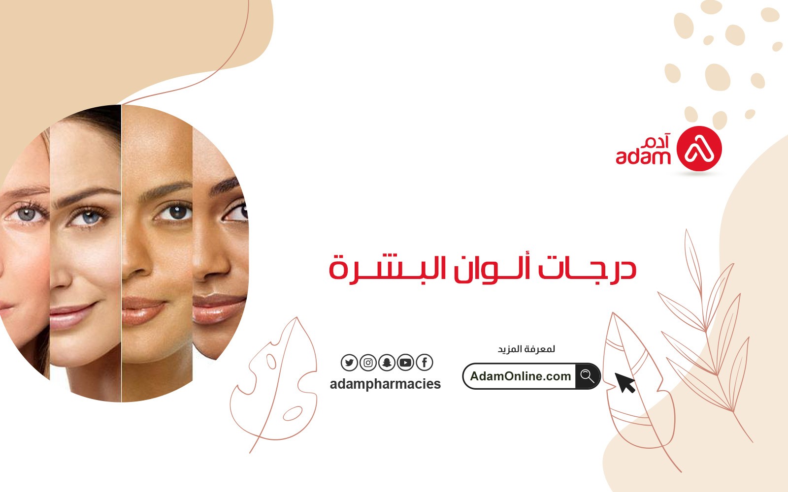 Adam Pharmacies | Skin tones