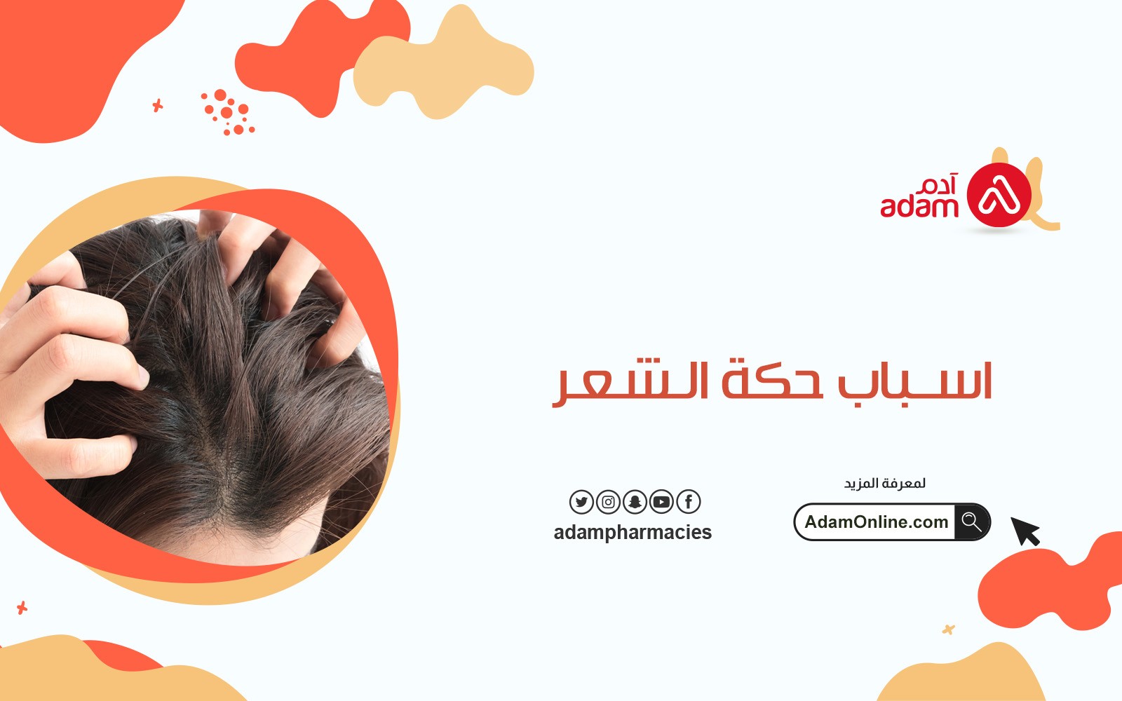 Adam Pharmacies | Causes of itchy hair